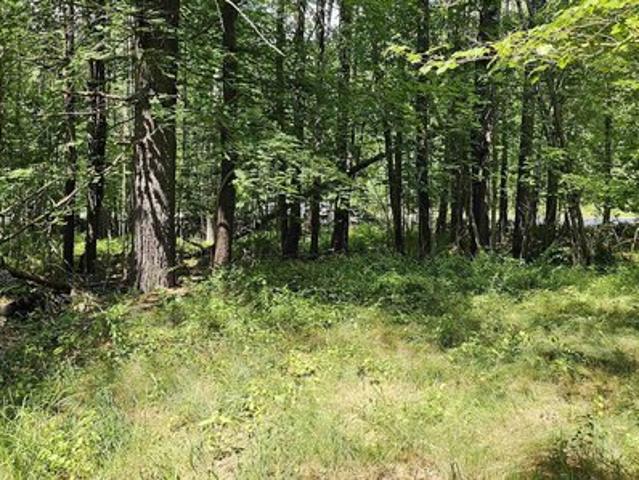 492 Moultonboro Neck Rd, Moultonborough, NH 03254