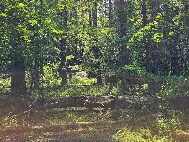 492 Moultonboro Neck Road