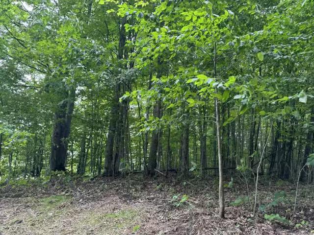 4935 WOODMAN RD SW, SOUTH BOARDMAN, MI 49680 Vacant Land For S.