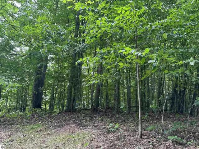 4935 WOODMAN RD SW, SOUTH BOARDMAN, MI 49680 Vacant Land For S.