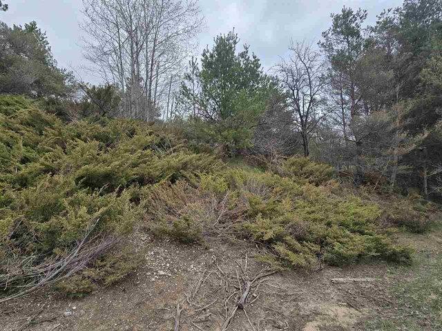 4936 Johnston Hill Rd, Harbor Springs, MI 49740
