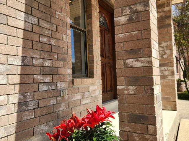 4931 Corian Well Dr, San Antonio, TX 78247 | Compass