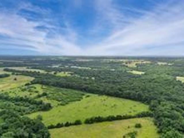 493.52 AC Rs County Road 4515