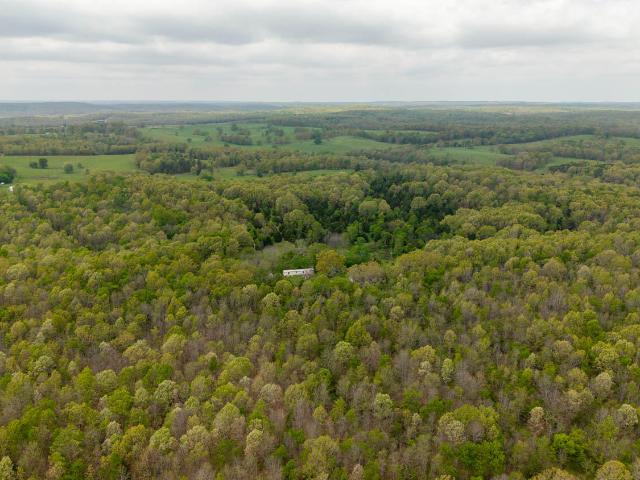 493 County Road 151