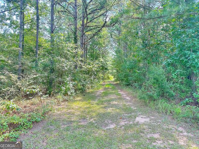 493 Jarrell Hogg Road