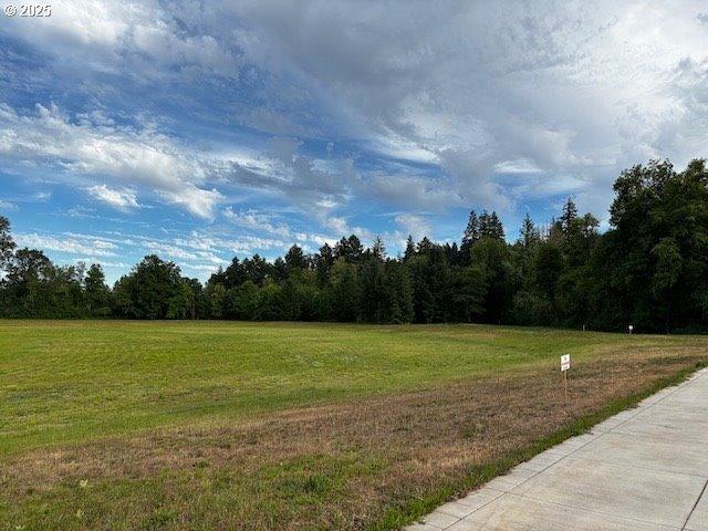 493 sw oregon falls dr