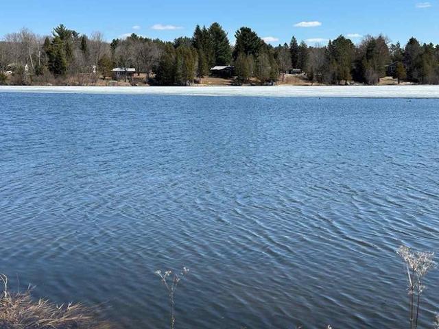4944 Benway Ln, Central Lake, MI 49622
