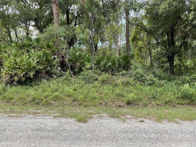 4940 Kenneth St, Hastings, FL 32145