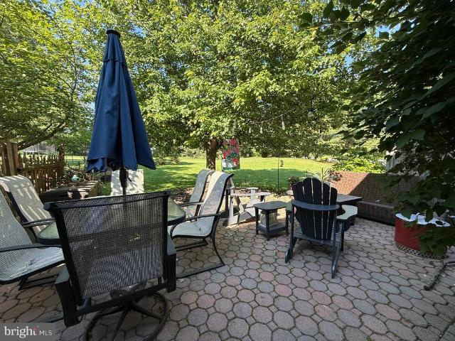 4940 Tall Cedar