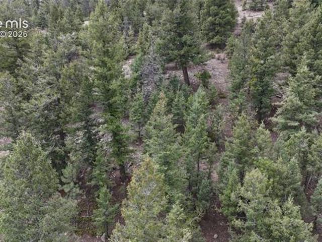 4943 County Road 11