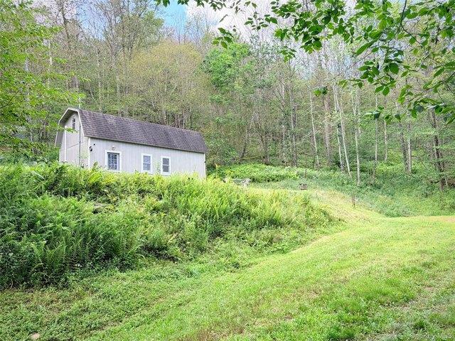494 Doyle Rd, Roscoe, NY 12776