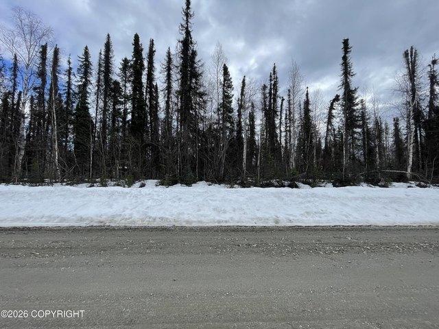 49553 S Cutthroat Dr, Willow, AK 99688