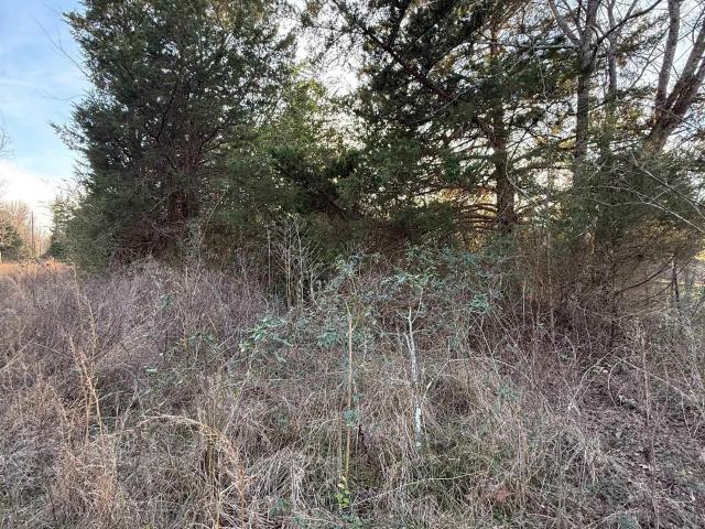 4950 County Road 4950, Pittsburg, TX 75686 | MLS #26000