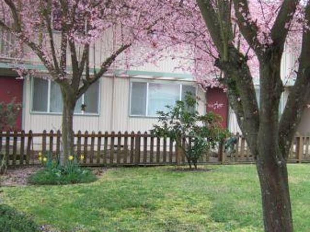 $495 / 2br 2 bed apartment, 2 miles to UO, near busline! SWT Springfield