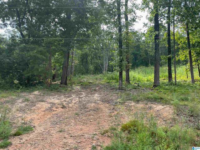 495 Anderson Mtn Drive # #24