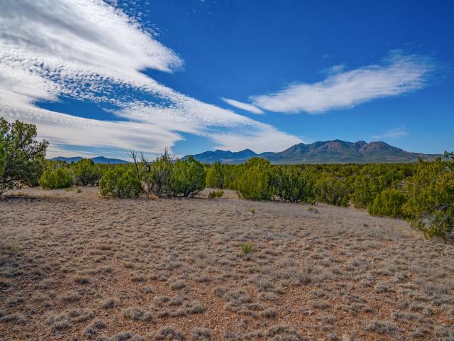 49/65 Blue Agave/Grenfell Ranch