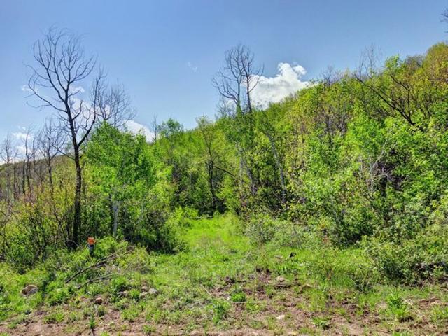4967 S Woodland Way Unit 25, Kamas, UT 84036