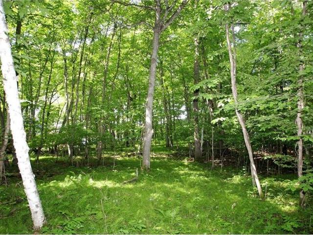 4967X Fish Lake Rd, Pelican Rapids, MN 56572