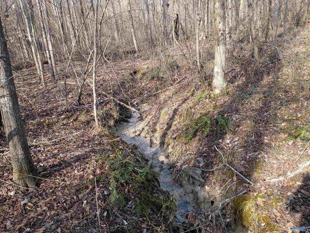 4960 Newburg Rd, Haleyville, AL 35565