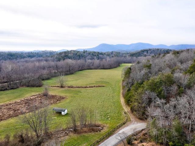 496 John Crow Road