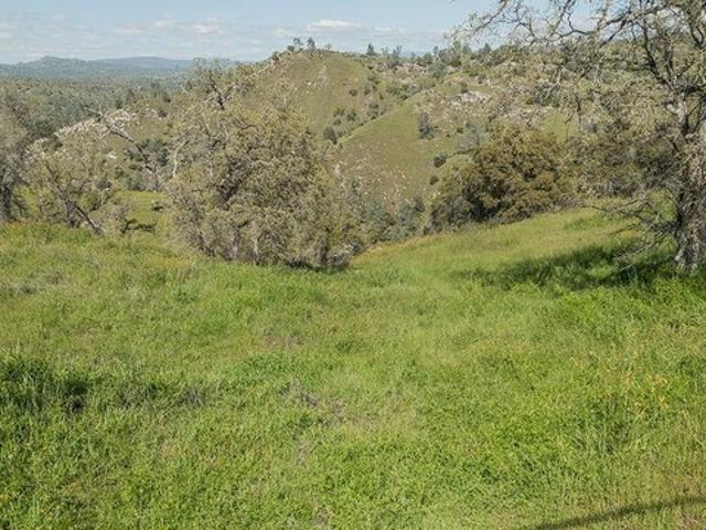 49760 Fine Gold Dr, Friant, CA 93626
