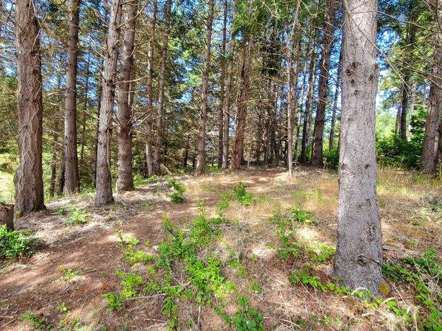 498 and 508 Humboldt Loop, Shelter Cove, CA 95589