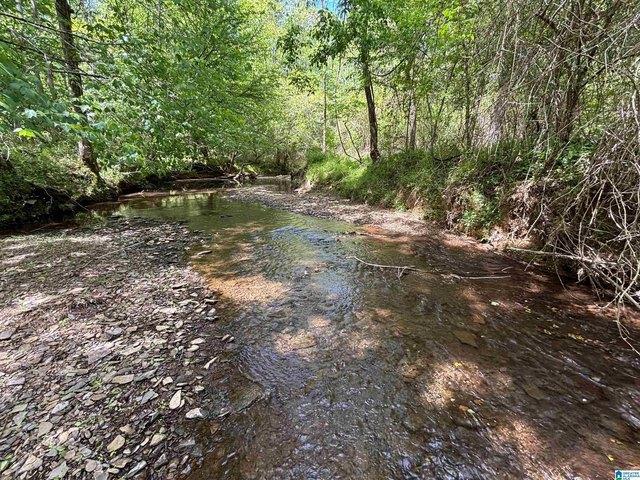 498 Blackwood 9 Acres Rd Lot 14, Parrish, AL 35580