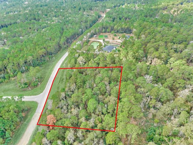 498 Lonestar Road