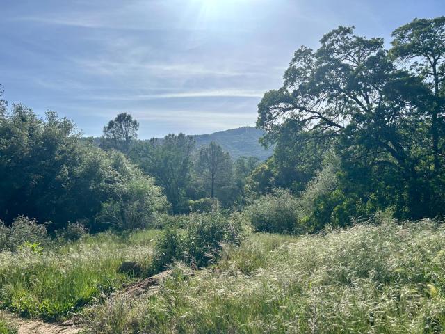 49992 Road 426, Oakhurst, CA 93644 | MLS #647532 | Compass
