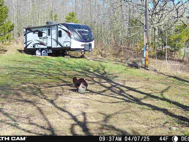 4991 Hwy Hh