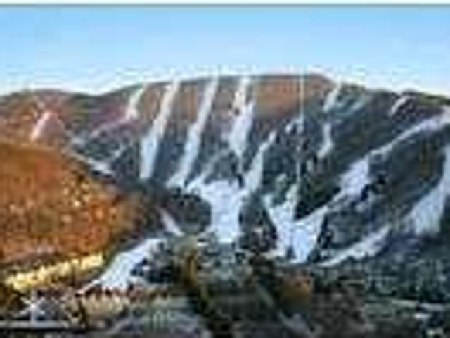 $499 / 2br WYNDHAM BENTLEY BROOK SPRING/ SUMMER WEEKENDS