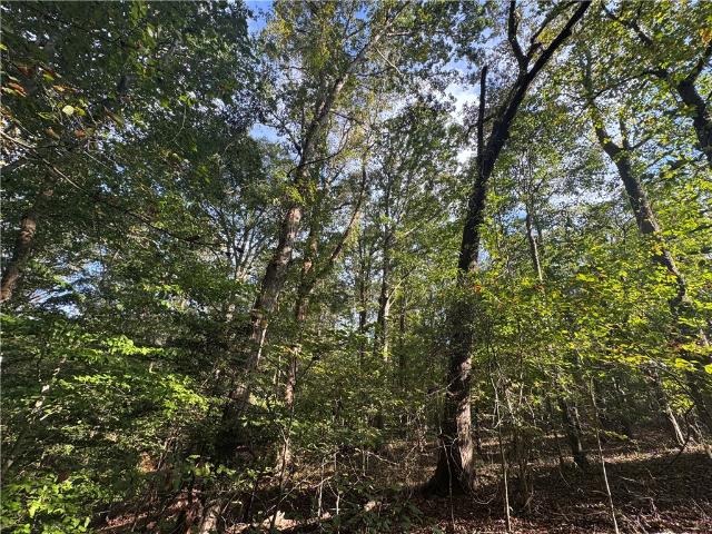 499 Acker Rd, Anderson, SC 29624 | MLS #20294
