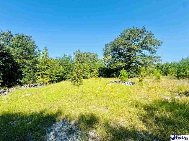 499 Mac Jowers Ln, Jefferson, SC 29718