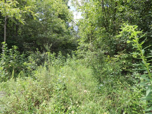 499 Rodefer Hollow Road