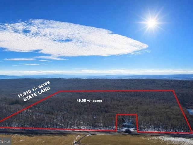 49.08 Acres Maryland Hwy, Swanton, MD 21561
