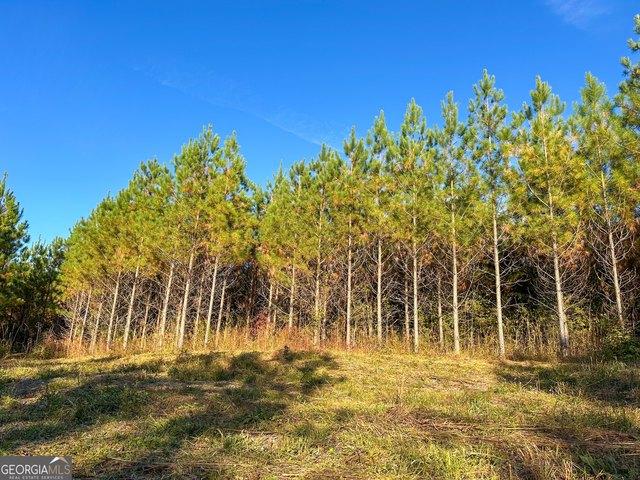 49.2 Acres Jordon Rd, Waverly Hall, GA 31831