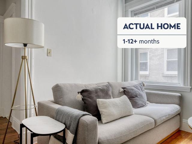 49 Worthington Street 1 Bedroom Apartment for Rent at 49 Worthington St #341, Boston, MA 02120 Mission Hill
