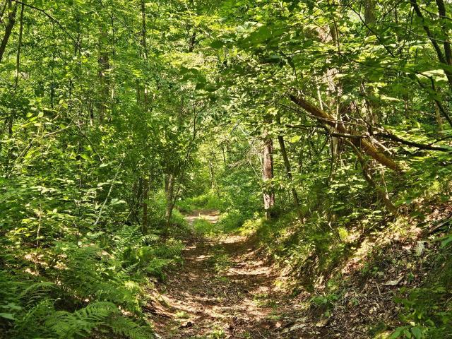 49 acres 16th Avenue