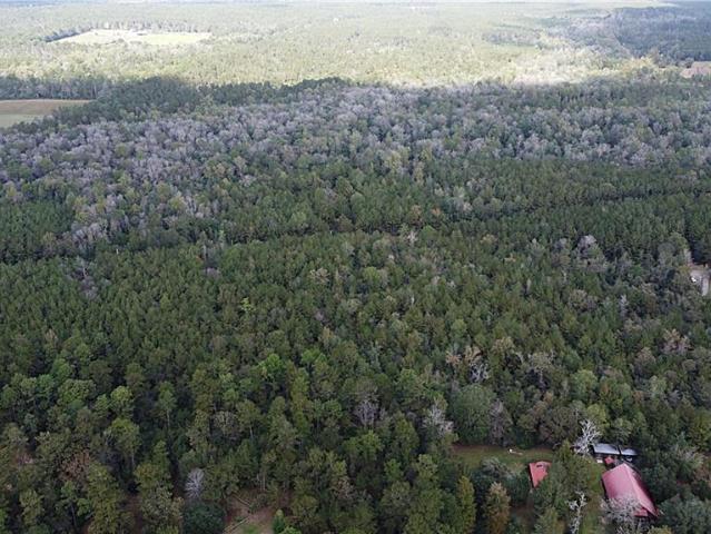49 Acres Holliday Road