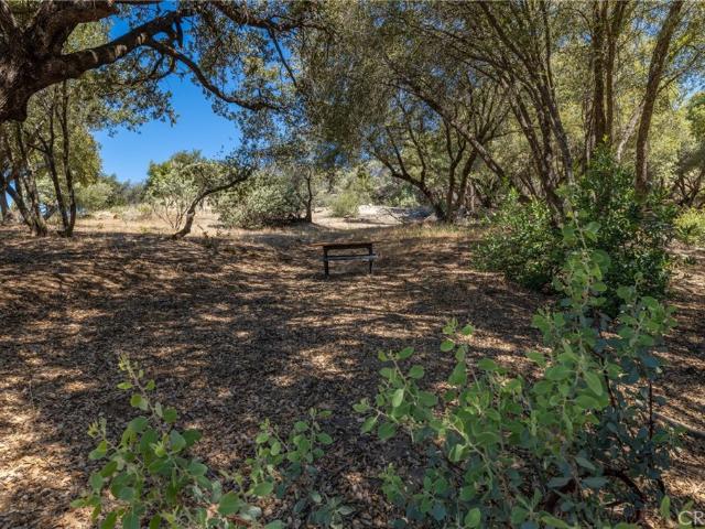 49 Acres Old Yosemite Road