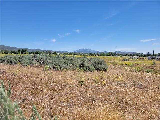 49 Bonita Vista Rd, Anza, CA 92539 | MLS #SW26011