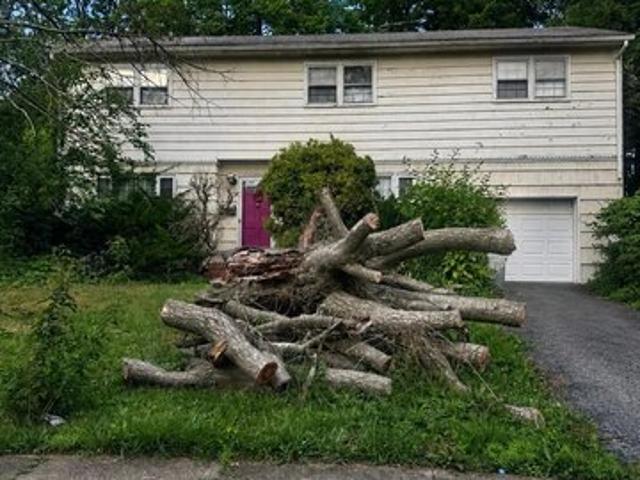 49 Enright Ave, Freehold, NJ 07728
