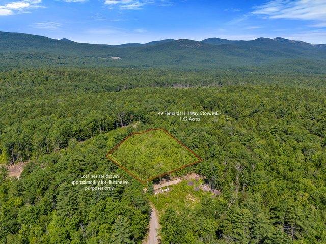 49 Fernalds Hill Way, Stow, ME 04037