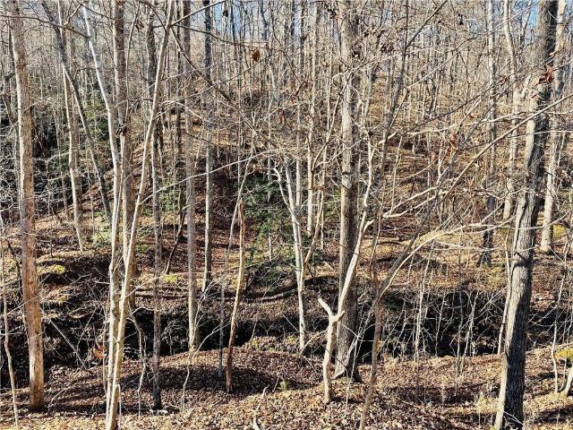 49 Old Stamp Mill Road