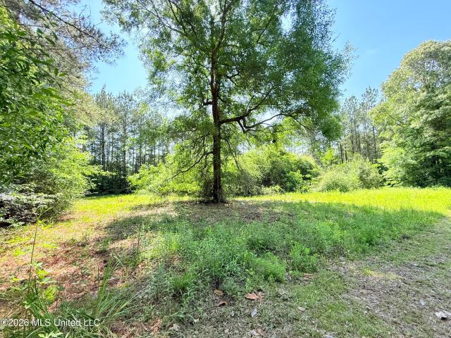 49 Page Dr, Moselle, MS 39459 | MLS #4147 | Compass