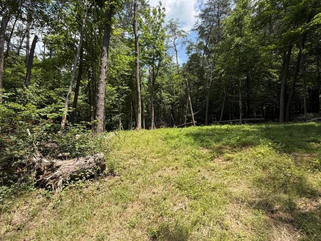 49 Pine Hurst Bay