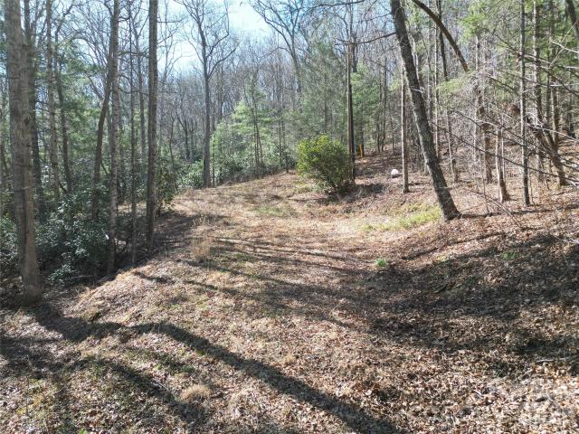 49 Reeds Creek Road