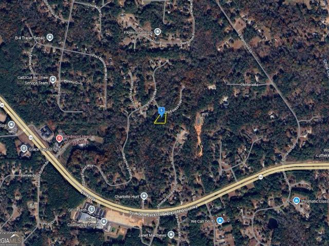 49 Spring Forest Trail, Sharpsburg, GA 30277 | MLS #10690 | Compass