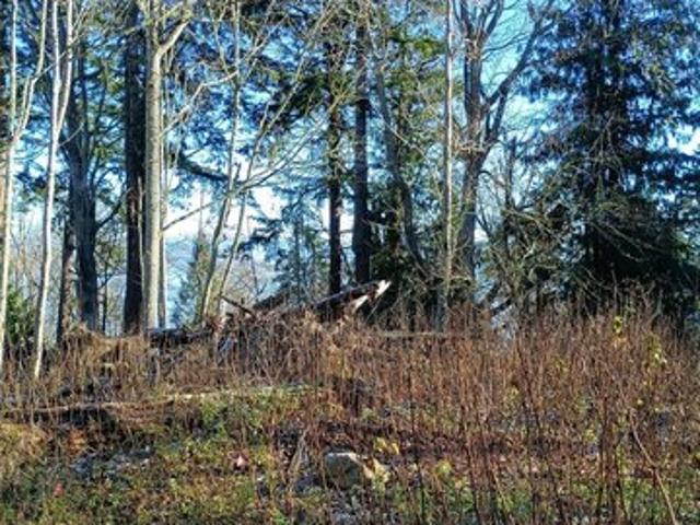 49K Tulalip Way, Hat Island, WA 98206