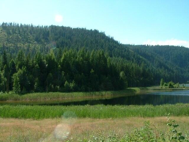49XX Sheep Creek Rd, Northport, WA 99157
